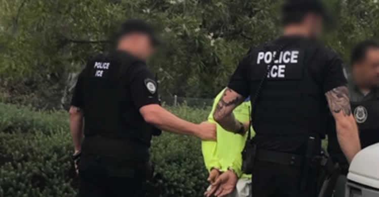 Ice Arrests 20 In San Diego During Week Long Surge Targeting Criminal